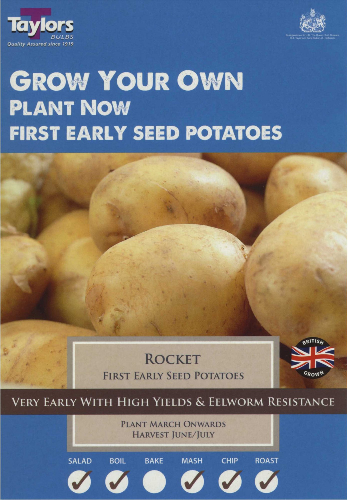 Taylors Bulbs Potato Rocket (x10) - Kelways Plants Ltd
