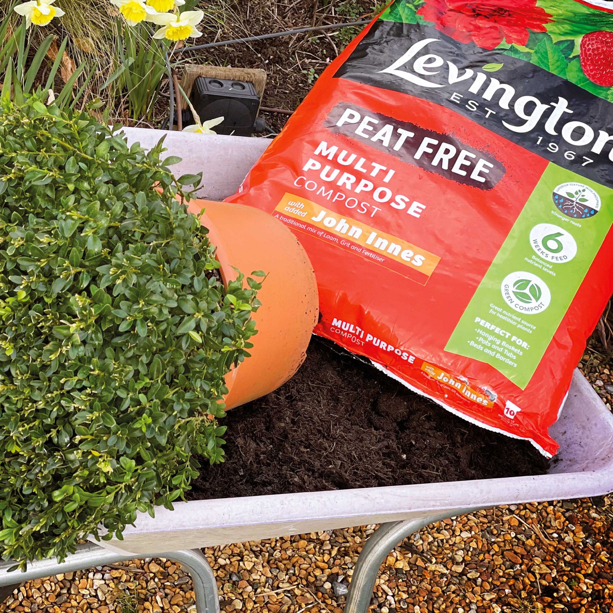 Levington Peat Free Multi Purpose Compost with added John Innes ...